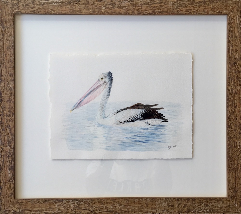 Peter Pelican – Detail | Chris Osborne Art